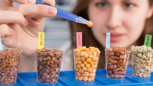Common Types Of Food Product Testing | WSS